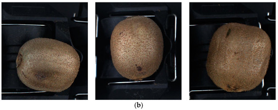 Applied Sciences Free Full Text Efficient Non Destructive Detection For External Defects Of