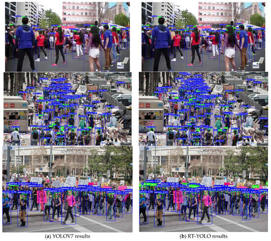 Residual Transformer YOLO for Detecting Multi-Scale Crowded Pedestrian