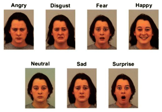 An Intelligent Facial Expression Recognition System Using A Hybrid Deep Convolutional Neural