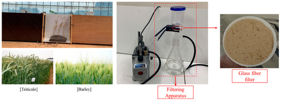 Fine Particulate Matter Reduction through Crop Surface Adsorption in an ...