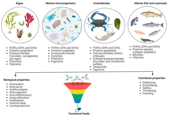 Marine Bioactives and Their Application in the Food Industry: A Review