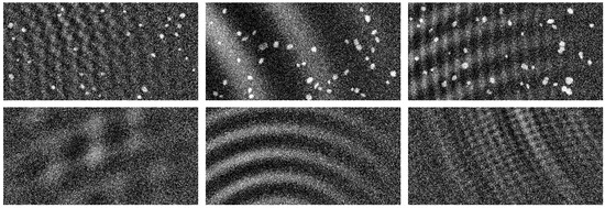 Applied Sciences | Free Full-Text | Learning to Segment Blob-like Objects by Image-Level Counting