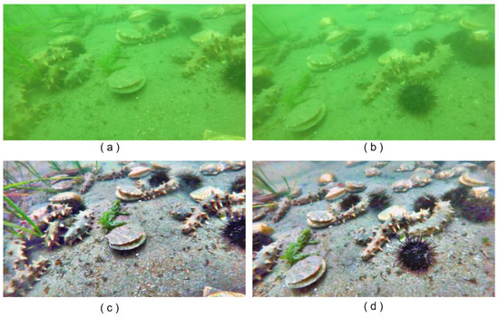 An Improved SIFT Underwater Image Stitching Method