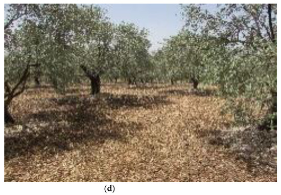 Evaluation of the Critical Parameters Involved in Decisions to Control ...