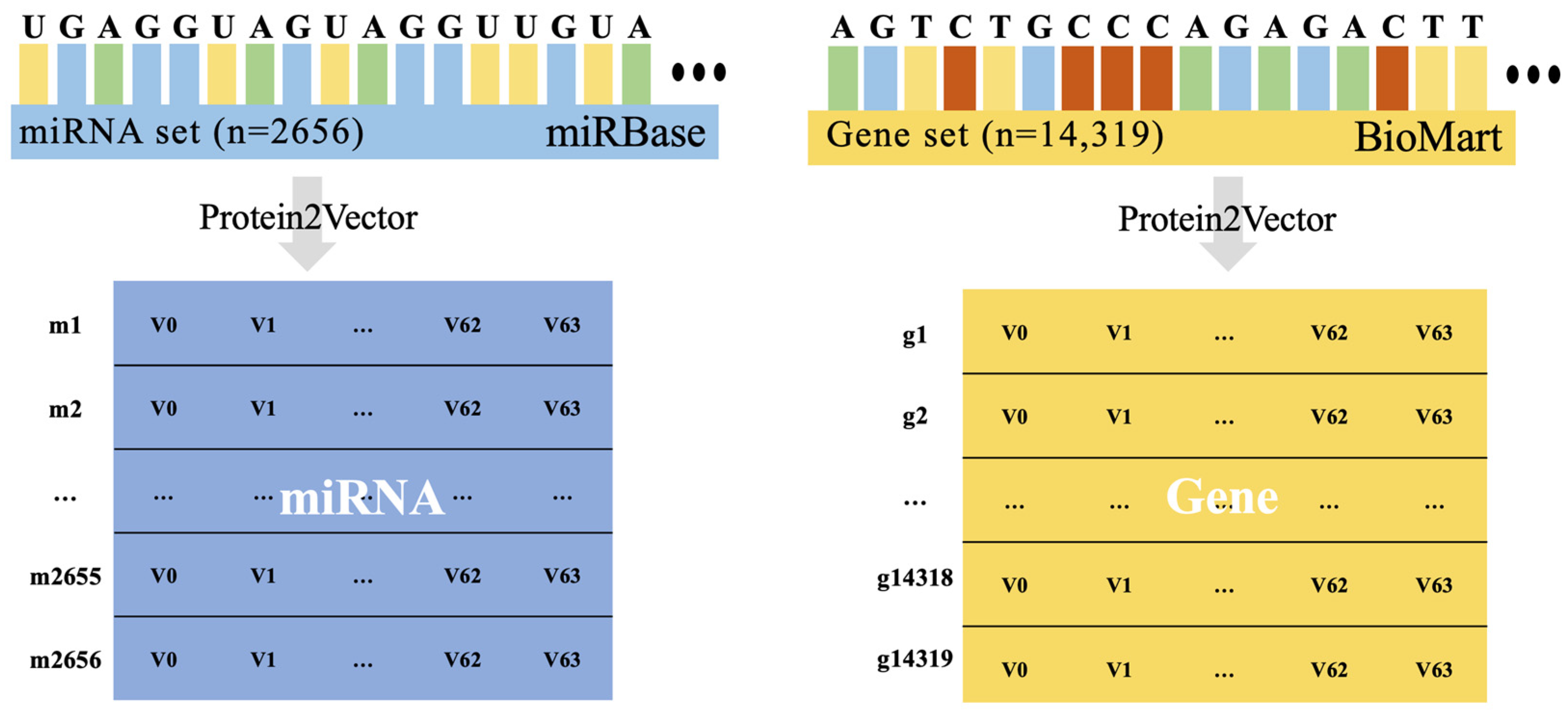 miGAP: miRNA–Gene Association Prediction Method Based on Deep Learning ...