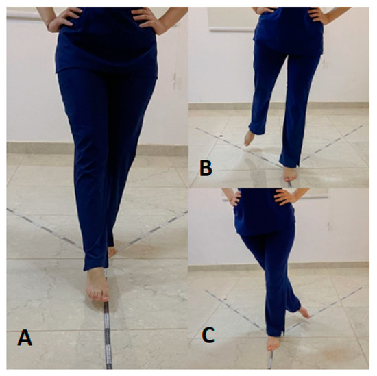 Exploring the Relationship between Muscular Strength, Flexibility, and ...