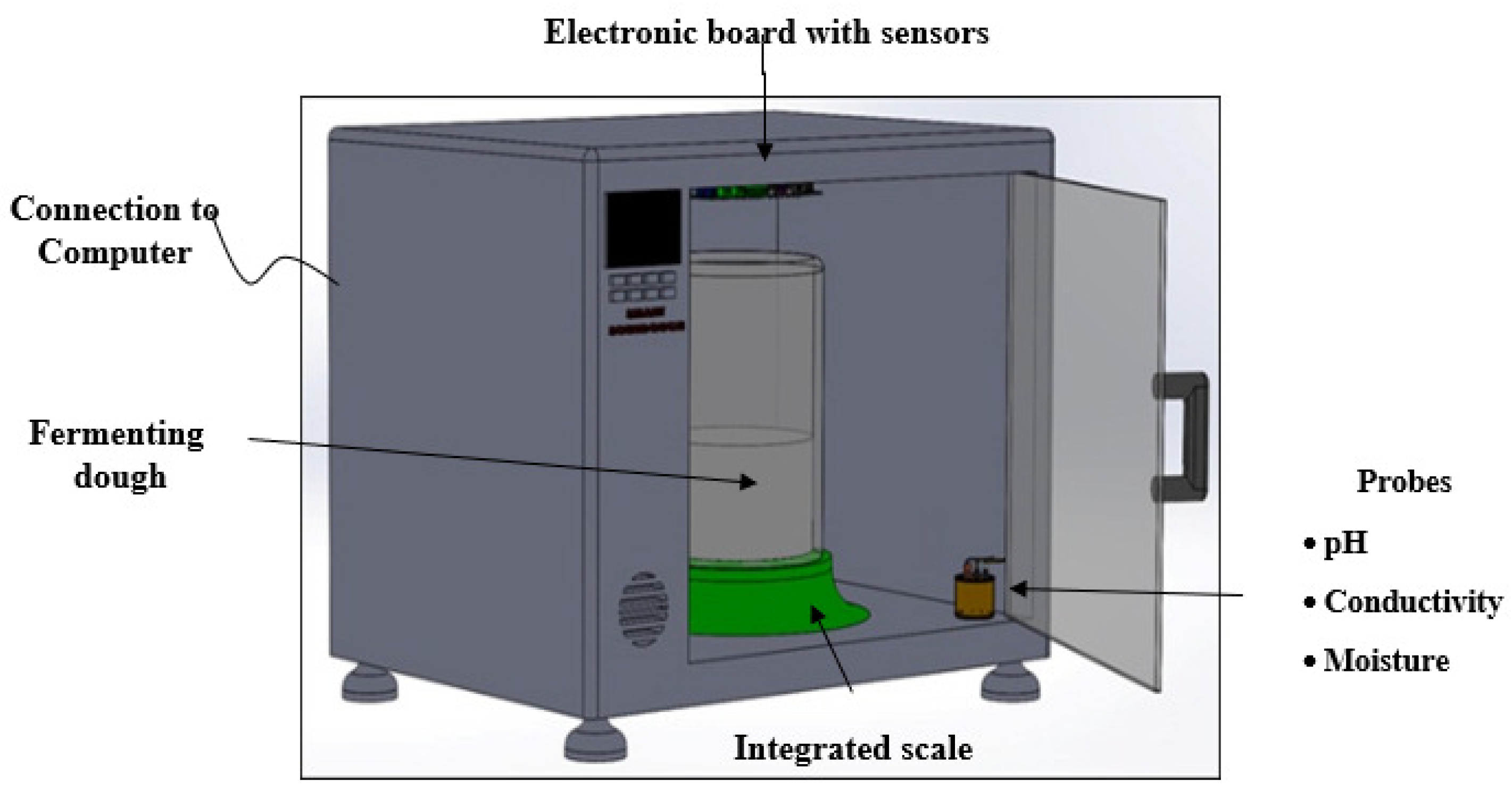 Assessment of the Fermentative Performance of Traditional Fresh Moroccan Sourdoughs and Their ...