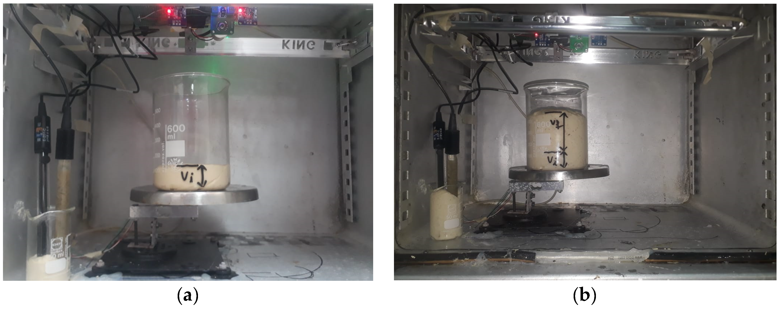Assessment of the Fermentative Performance of Traditional Fresh Moroccan Sourdoughs and Their ...