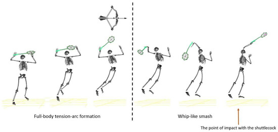 Biomechanical Insights for Developing Evidence-Based Training Programs ...