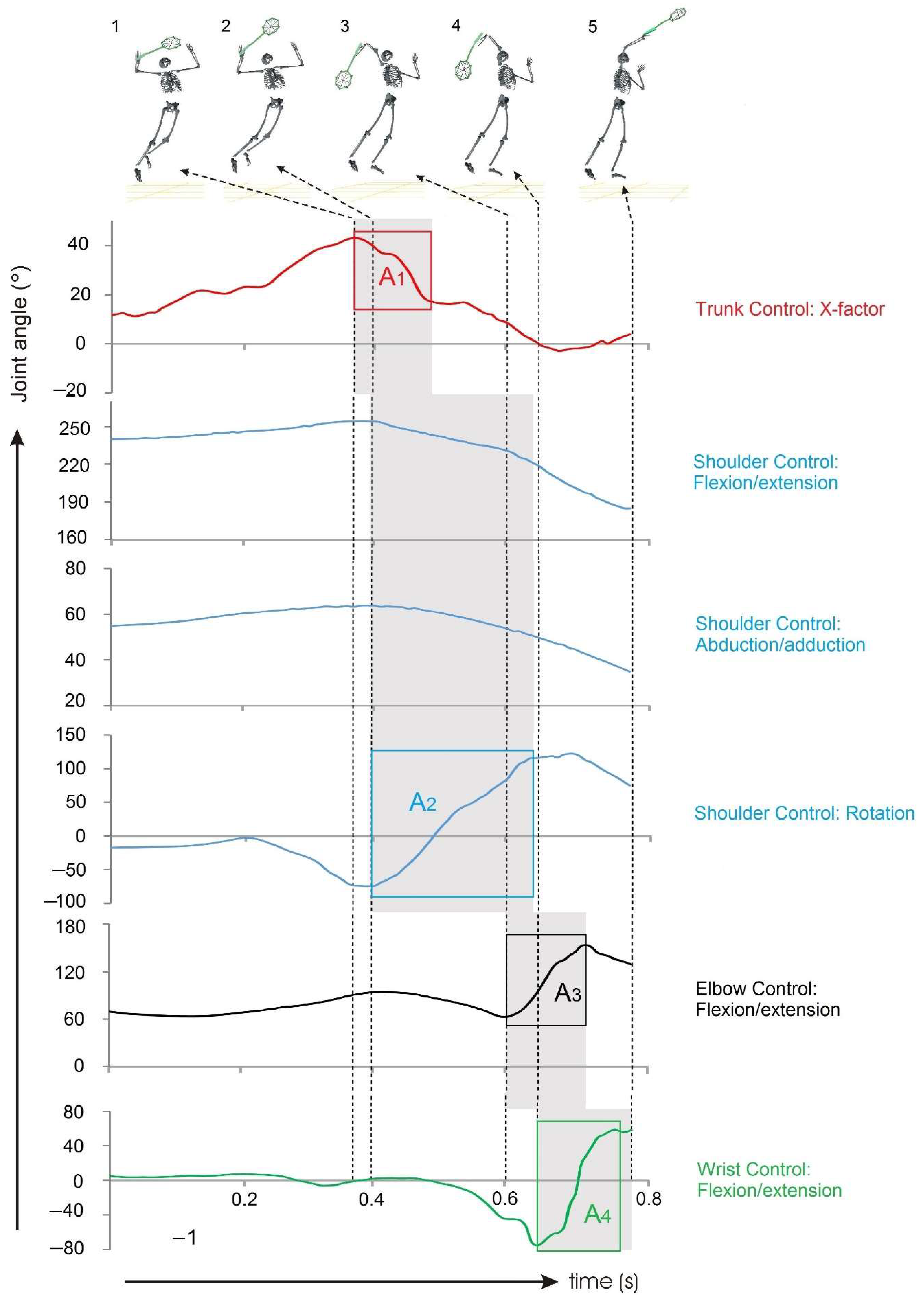 Biomechanical Insights for Developing Evidence-Based Training Programs ...