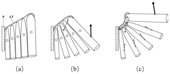 Design and Kinematic Analysis of Deployable Antenna for Bionic Bird ...