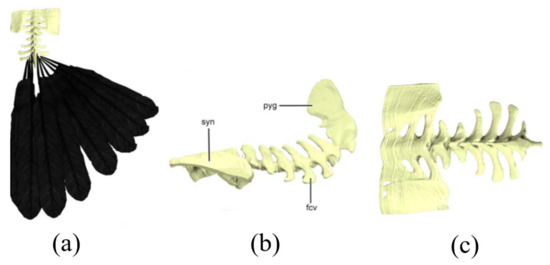 Design and Kinematic Analysis of Deployable Antenna for Bionic Bird ...