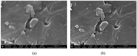 Mineral Characterization Using Scanning Electron Microscopy (SEM): A ...
