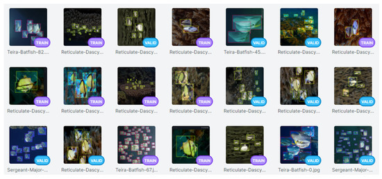 Fish Detection under Occlusion Using Modified You Only Look Once v8 ...
