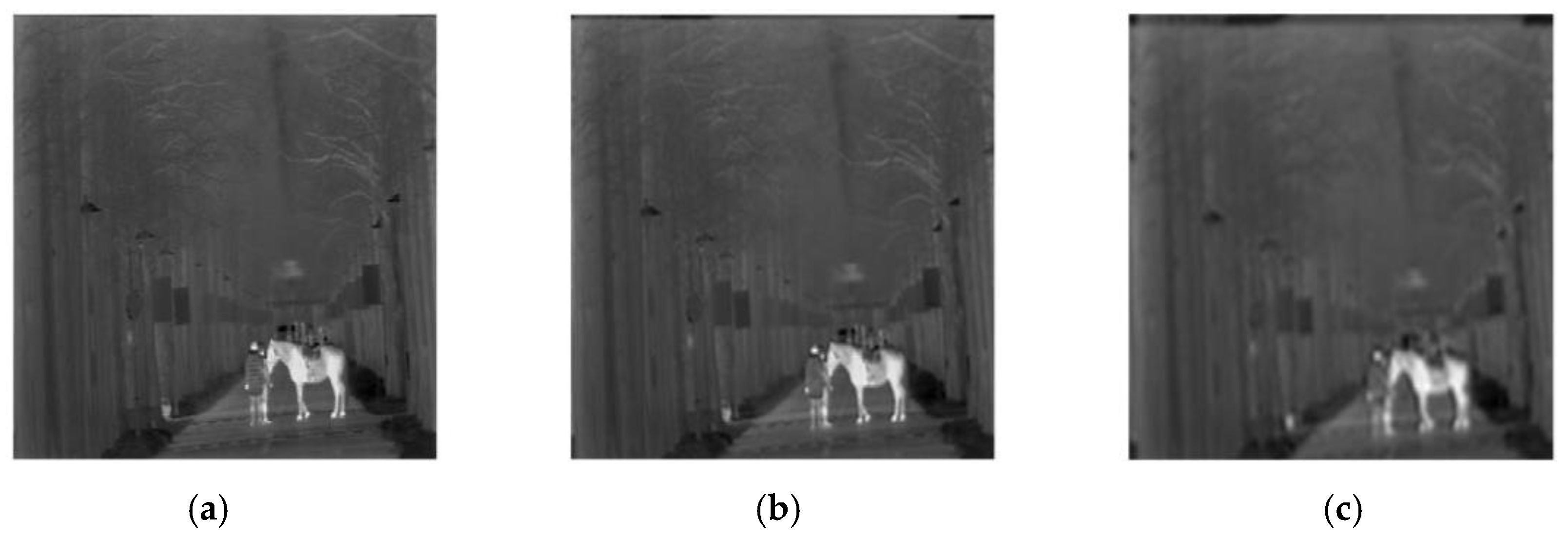 Algorithm Research on Detail and Contrast Enhancement of High Dynamic ...