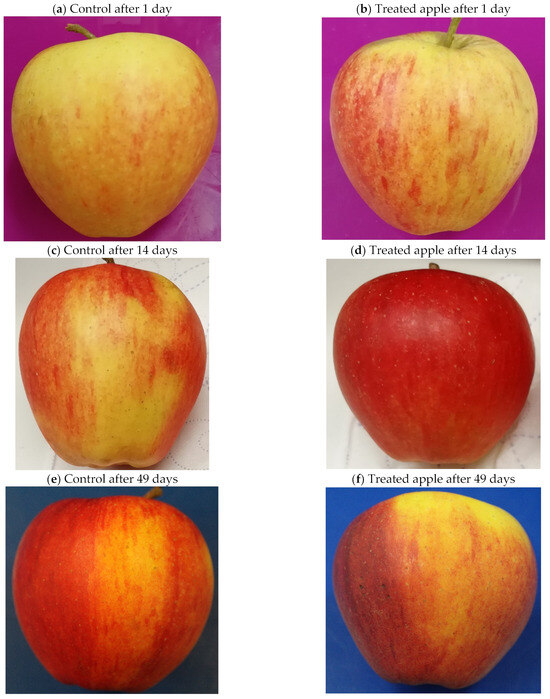 Reducing Storage Losses of Organic Apples by Plasma Processed Air (PPA)
