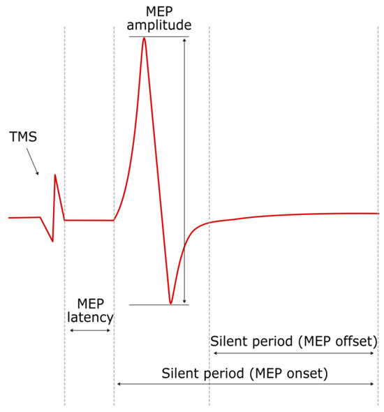 An Overview of Transcranial Magnetic Stimulation and Its Application in ...
