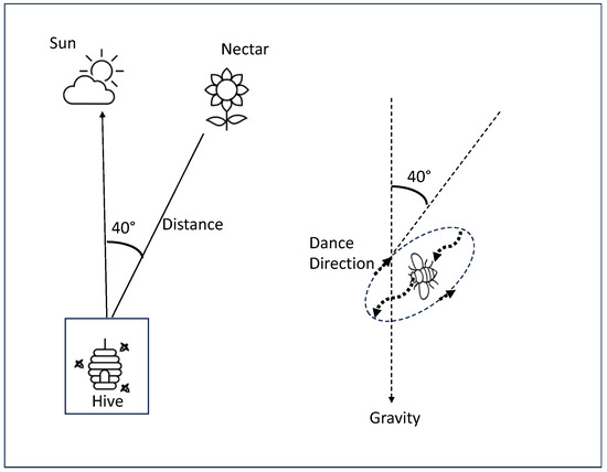 Applied Sciences | Free Full-Text | Composing Multiple Online Exams ...