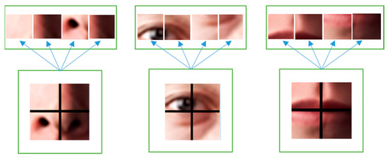 Expression Recognition of Multiple Faces Using a Convolution Neural ...