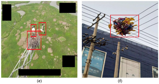 Foreign Object Detection In High Voltage Transmission Line Based On Improved Yolov8m