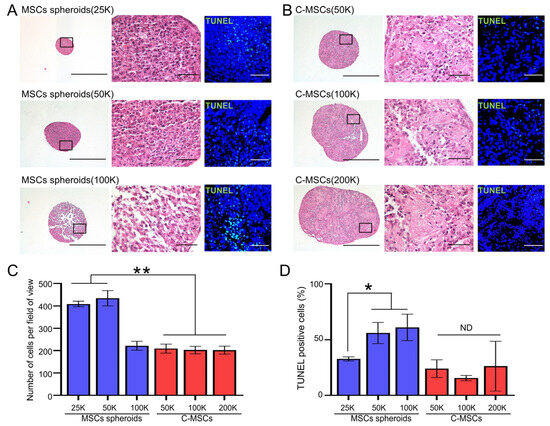 Distinctive Biological Properties between Mesenchymal Stem Cell ...