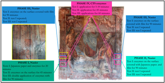 “A Woman Clothed with the Sun”: The Diagnostic Study and Testing of ...