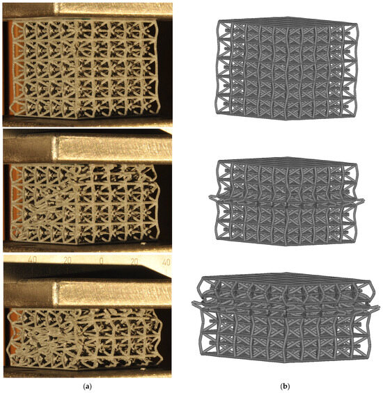Local Thickness Optimization Of Functionally Graded Lattice Structures In Compression