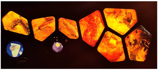 Optimising Amber Processing Using 3D Scanning: New Perspectives in ...