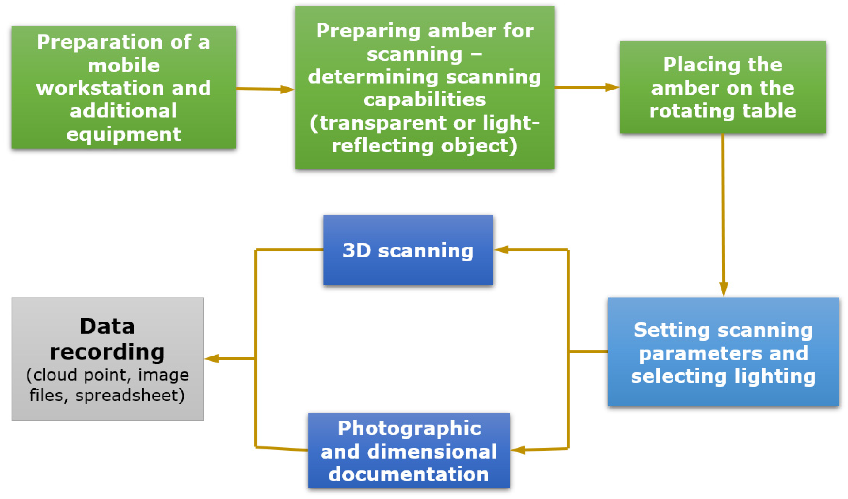 Optimising Amber Processing Using 3D Scanning: New Perspectives in ...