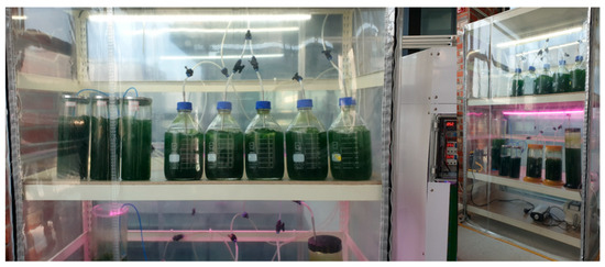A Microalgae Photobioreactor System for Indoor Air Remediation ...