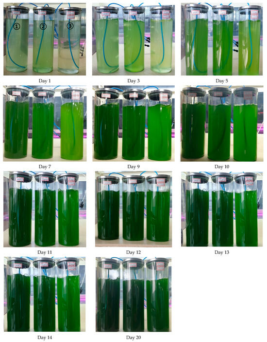 A Microalgae Photobioreactor System for Indoor Air Remediation ...