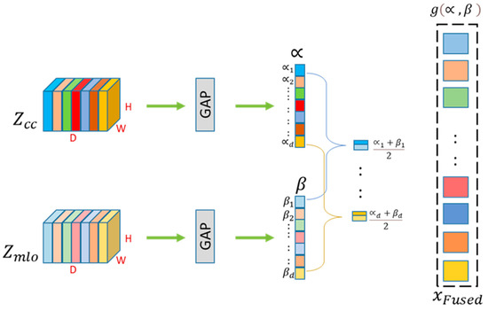 Comprehensive Analysis Of Mammography Images Using Multi Branch Attention Convolutional Neural
