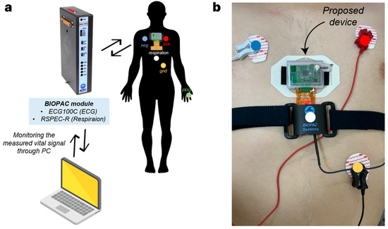 Rationale and Design of a Wearable Cardiopulmonary Monitoring System ...