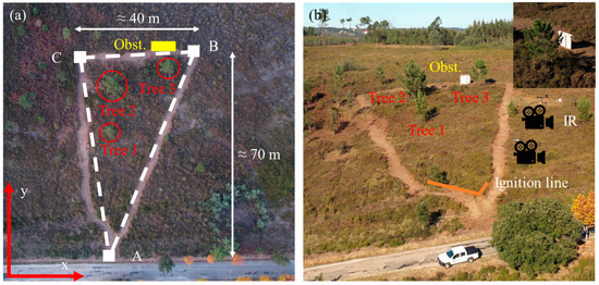 Experimental and Numerical Evaluation of a Wildland–Urban Interface ...