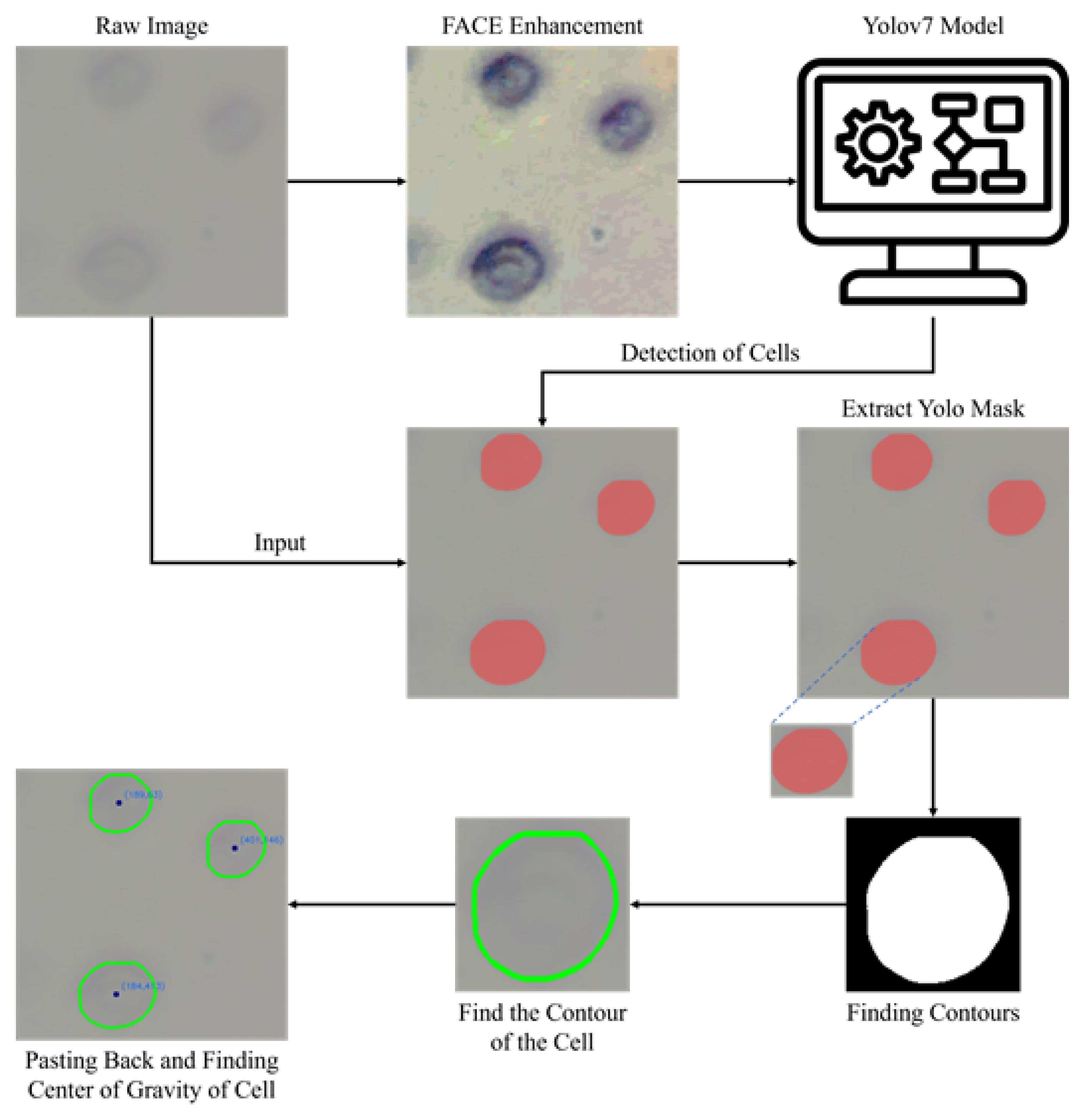 Applied Sciences | Free Full-Text | A Vision-Based Micro-Manipulation System