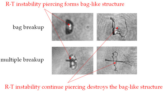Study on the Interface Instability of a Shock Wave–Sub-Millimeter ...