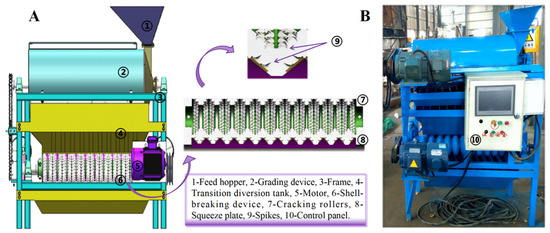 Determination of Critical Moisture Content Facing Walnut Shell Breaking ...