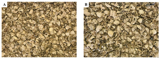 Determination of Critical Moisture Content Facing Walnut Shell Breaking and Optimization of ...
