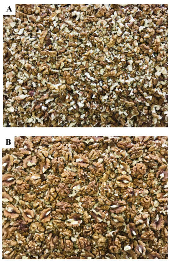 Determination of Critical Moisture Content Facing Walnut Shell Breaking and Optimization of ...