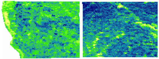 3d Convolutional Neural Network With Dimension Reduction And Metric Learning For Crop Yield