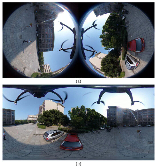 PGDS-YOLOv8s: An Improved YOLOv8s Model for Object Detection in Fisheye Images
