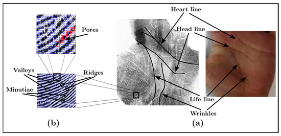 Palmprint Recognition: Extensive Exploration of Databases ...