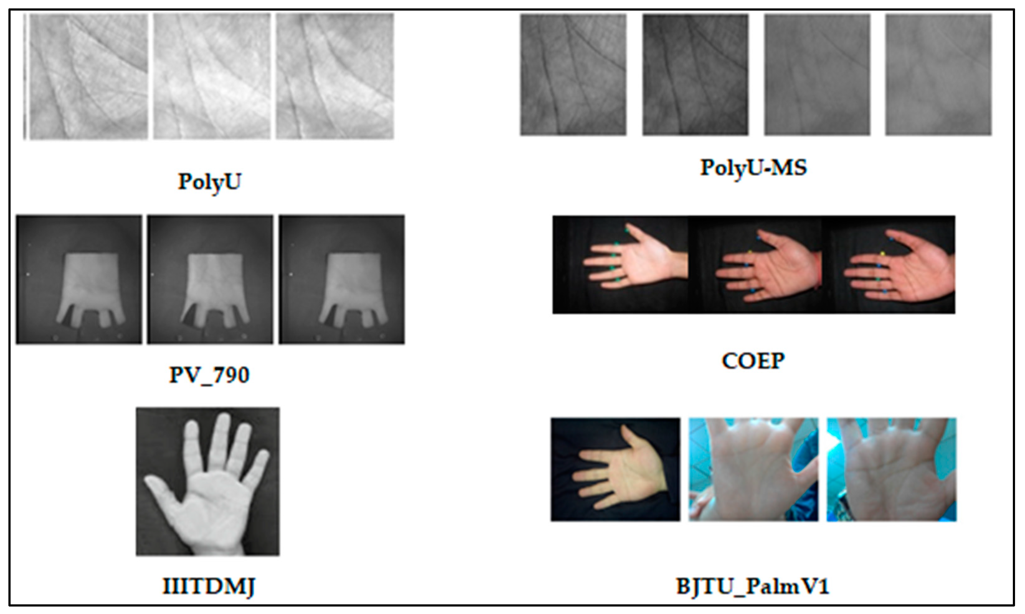 Applied Sciences | Free Full-Text | Palmprint Recognition: Extensive Exploration of Databases ...