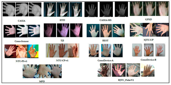 Applied Sciences | Free Full-Text | Palmprint Recognition: Extensive Exploration of Databases ...