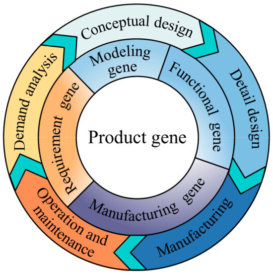 From Biological Gene to Functional Gene: Revolutionizing Product ...