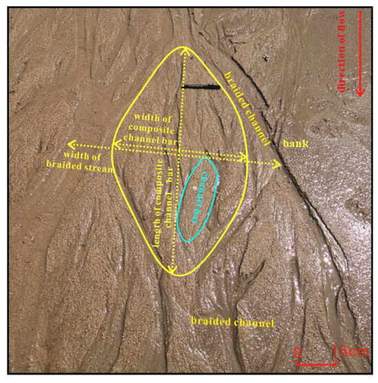 Quantitative Scale Analysis of the Channel Bar in a Braided River and ...