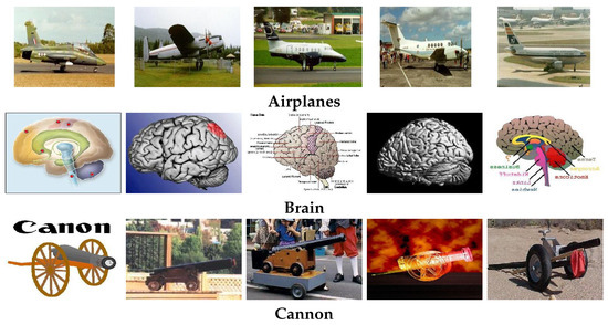 Sparse Representations Optimization with Coupled Bayesian Dictionary and Dictionary Classifier ...