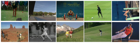 Sparse Representations Optimization with Coupled Bayesian Dictionary and Dictionary Classifier ...