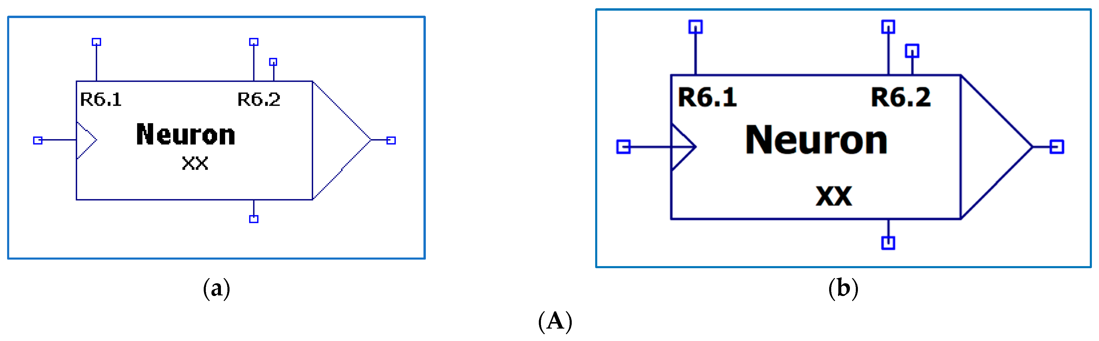 Simulation of Spinal Cord Reflexes