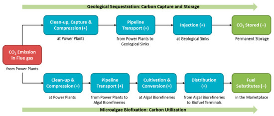 Life Cycle Assessment of Carbon Dioxide Supply Chains: State of the Art ...